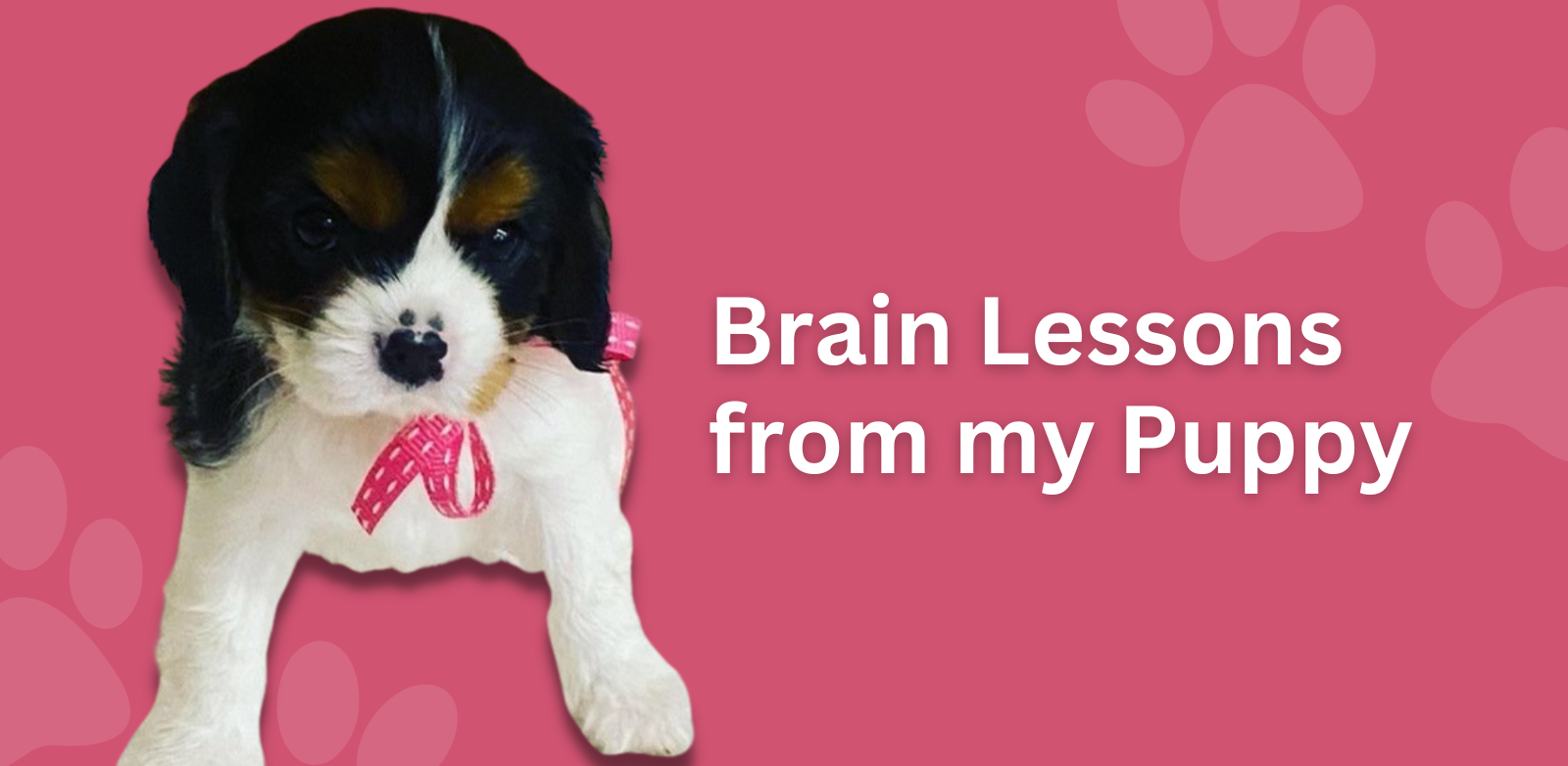 Brain Lessons from my Puppy - Results Through People
